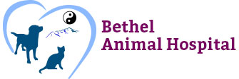 Bethel Animal Hospital | (207) 824-2212